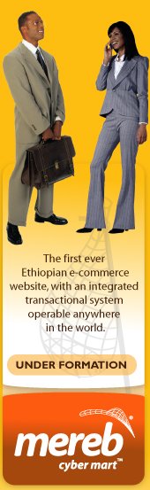 Mereb Services :: Home